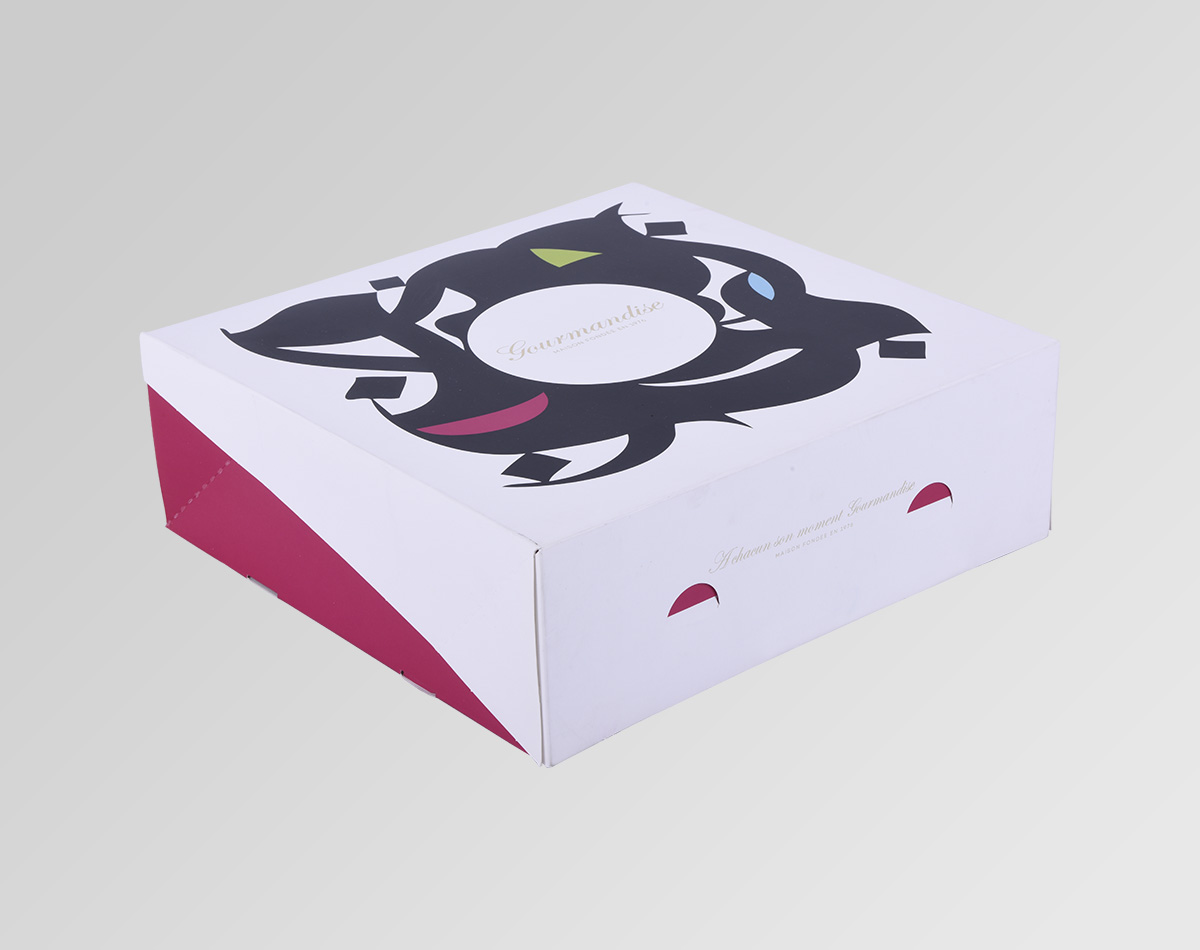 6 point Square box – Mertiz Offset